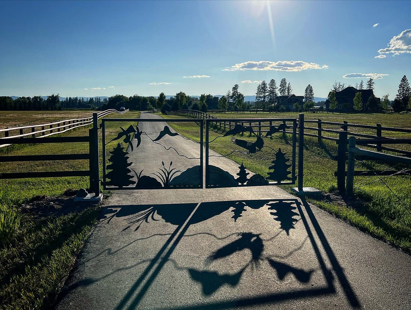 custom-drive-through-gate-05